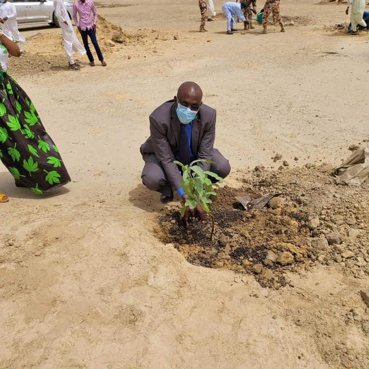 TCHAD : Le ministère de l’Environnement vise la plantation de 16 ...