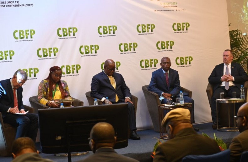 19e réunion des parties du Partenariat pour les Forêts du Bassin du ...
