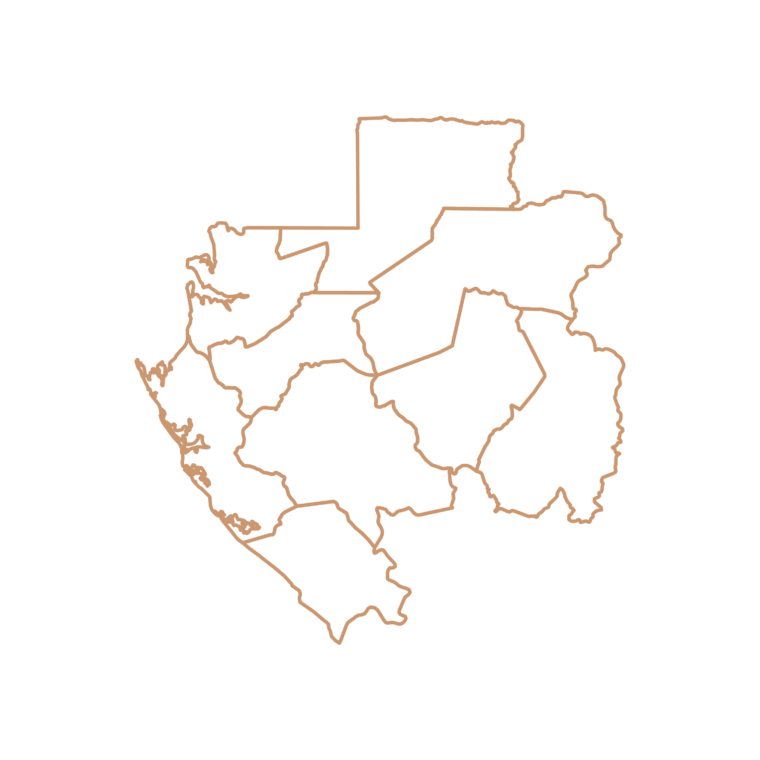 États membres – Comifac